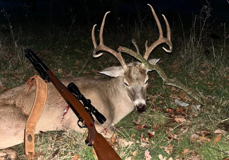 Texas Whitetail Hunts For Trophy Bucks, 4,000+ Acres Of Land