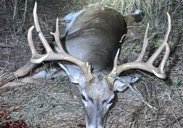 Texas Whitetail Hunts For Trophy Bucks, 4,000+ Acres Of Land