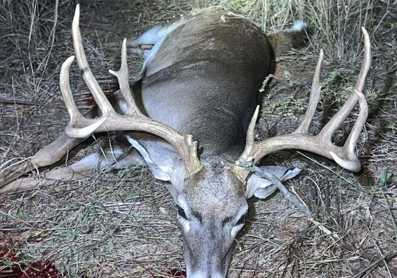 Texas Deer Hunts On Private Land For Whitetails With TTO