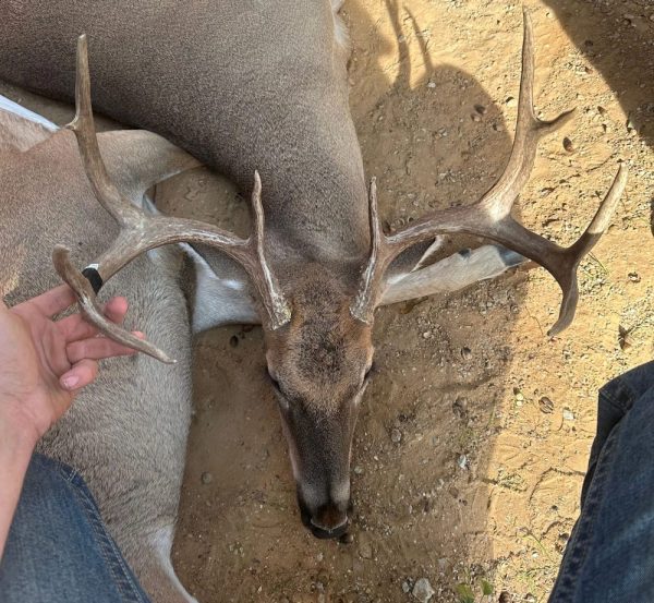 Texas Whitetail Hunts For Trophy Bucks, 4,000+ Acres Of Land