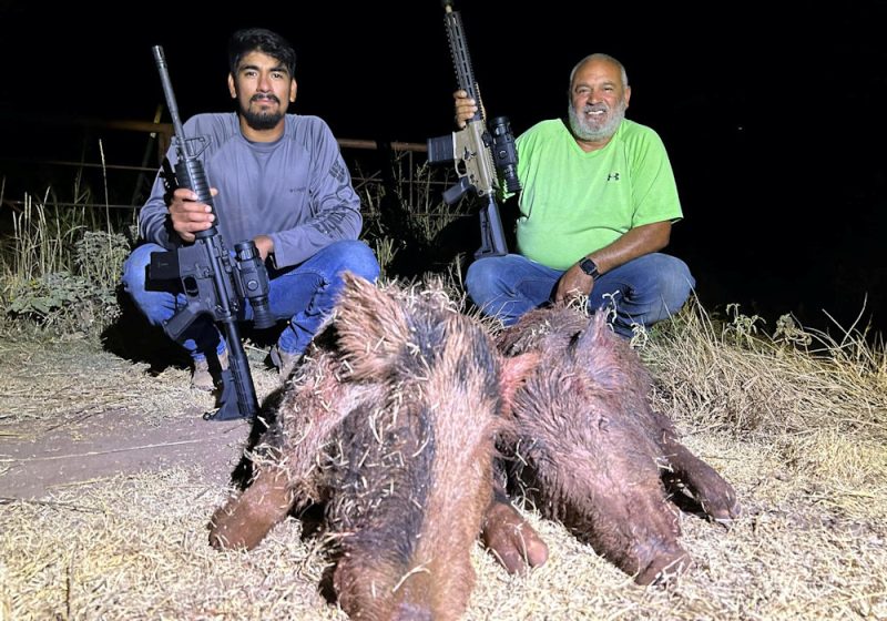 Texas Thermal Hog Hunts With Texas Thermal Outfitters